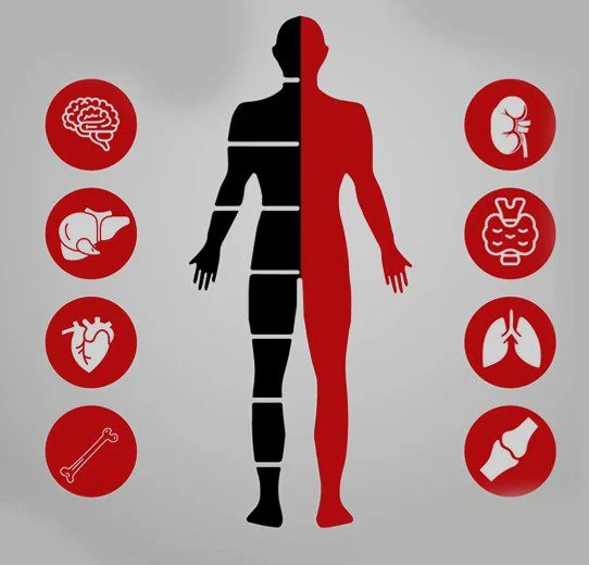 Affordable Body Checkup Packages in Indore | Totall Experts