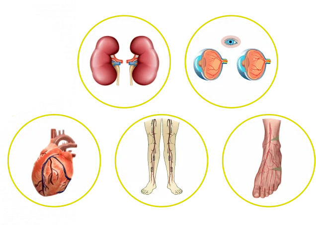 Book Diabetes Body Checkup Packages in Indore now at Totall